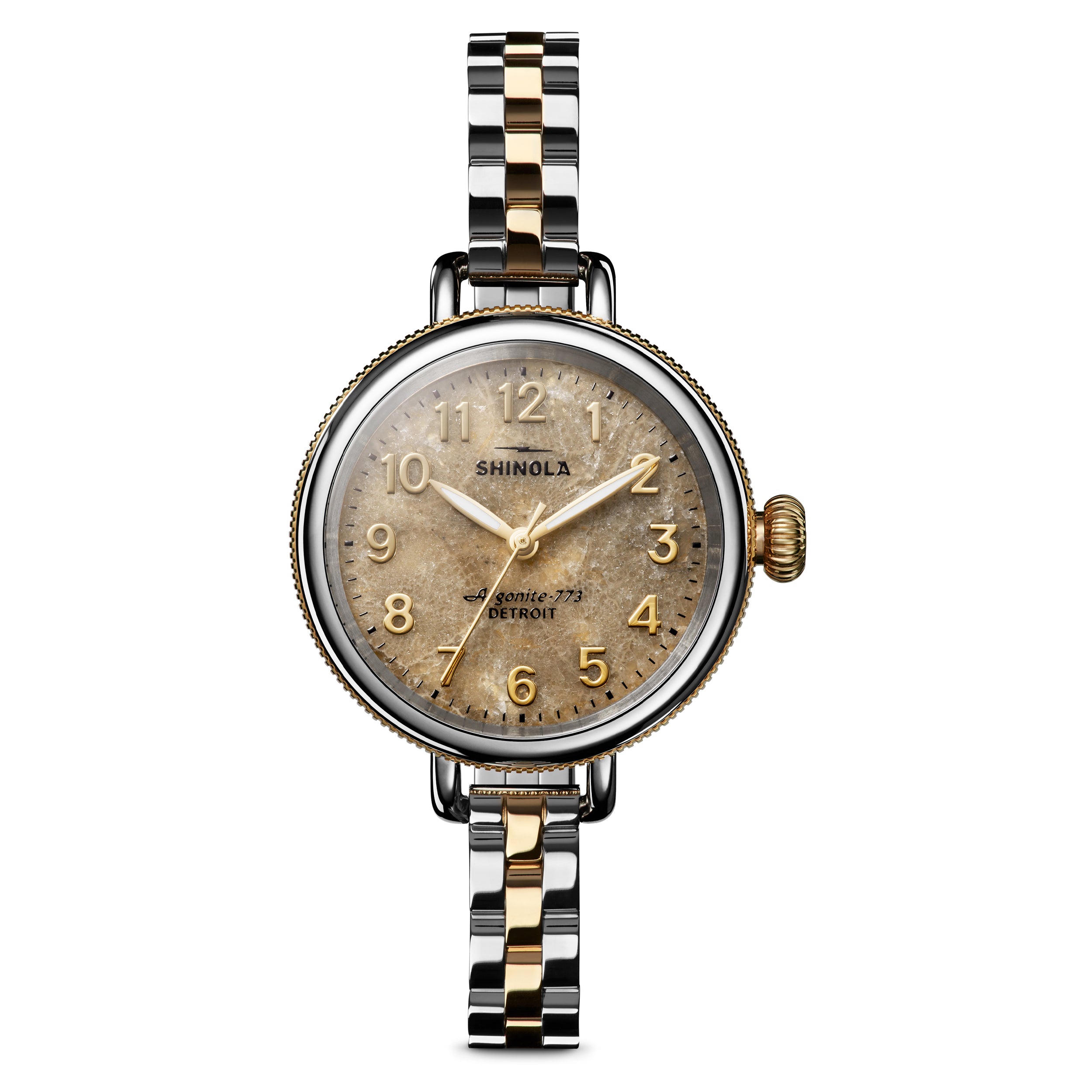 Shinola Petoskey Stone Watch
