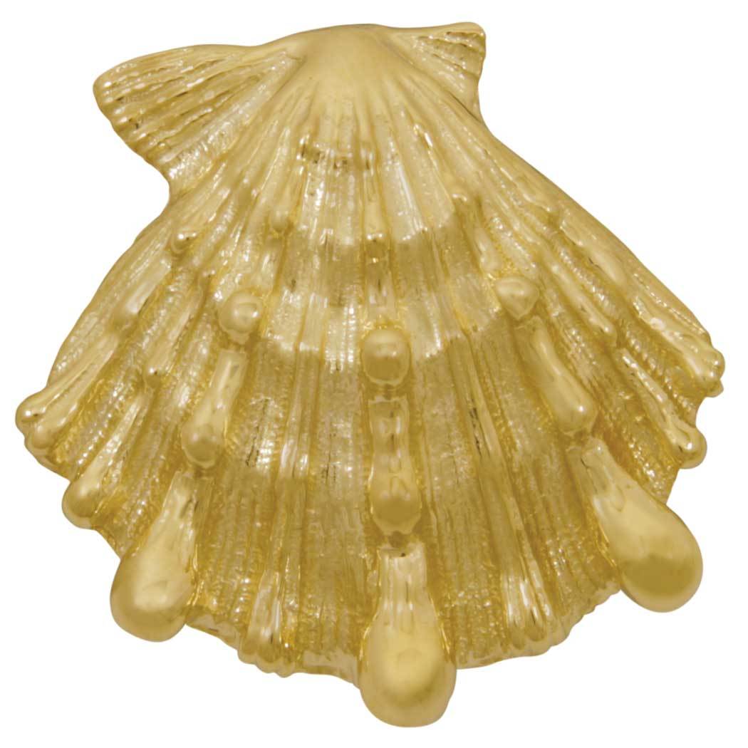 14k Yellow Gold Large Lion's Paw Shell Pendant – Congress Jewelers